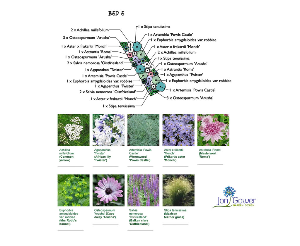 Planting Plans for Existing Borders | Jon Gower Garden Design